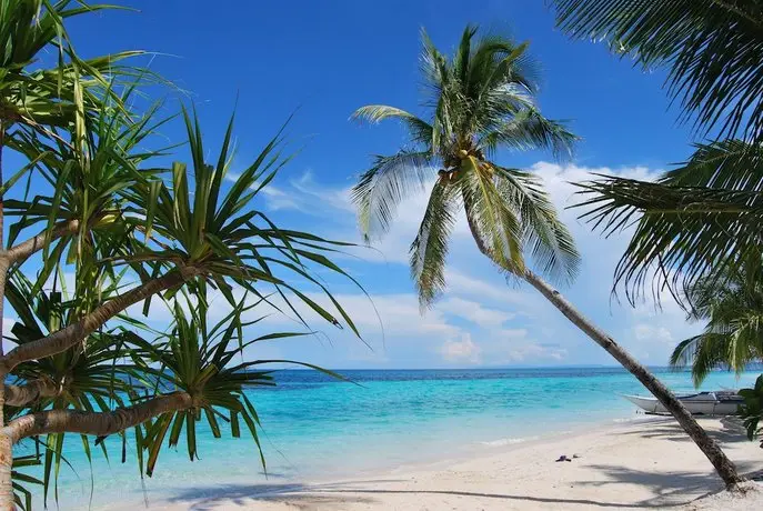 Reserve Online with Malapascua Exotic Island Dive and Beach Resort ...